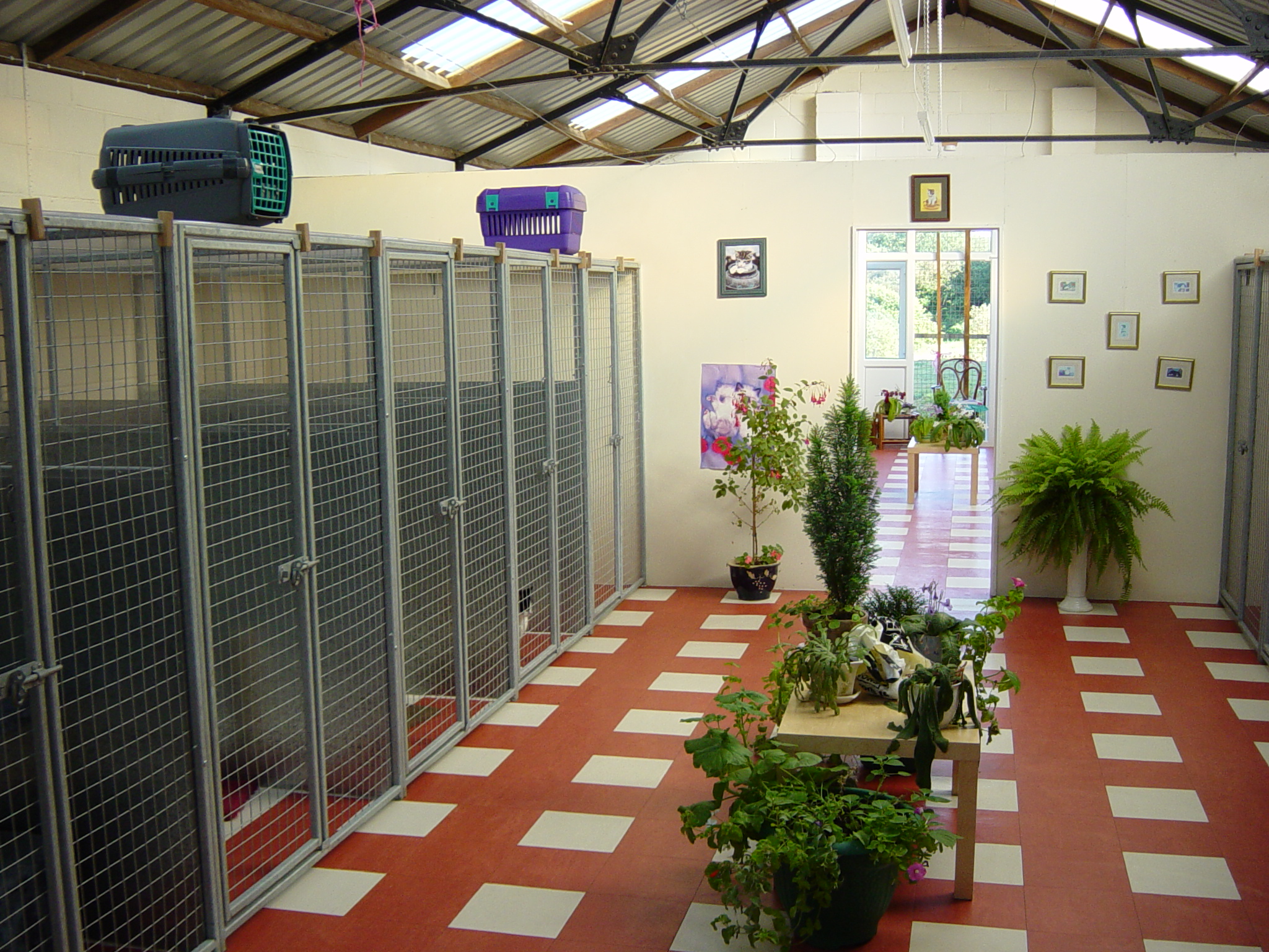 Sunny Meadows Cattery - Boarding Kennels and Catteries in Ryton, Tyne ...